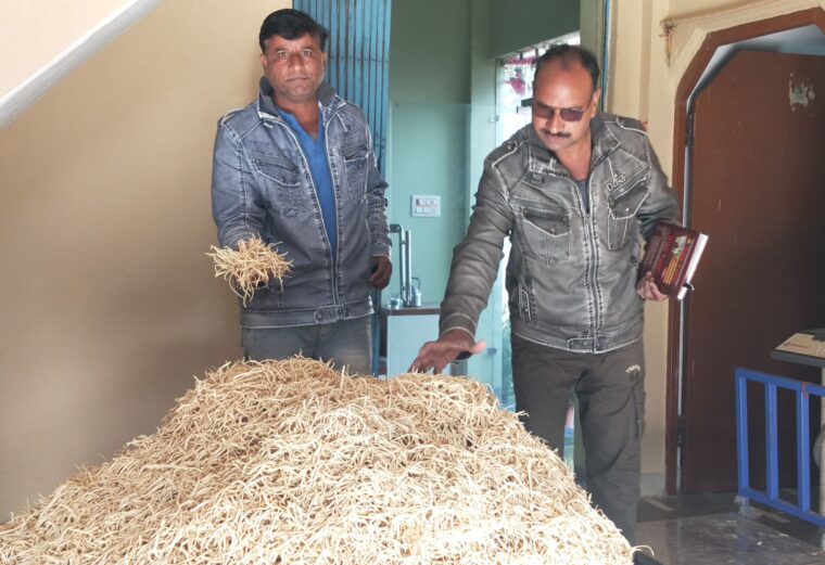 About - Kaliya Musli Farm